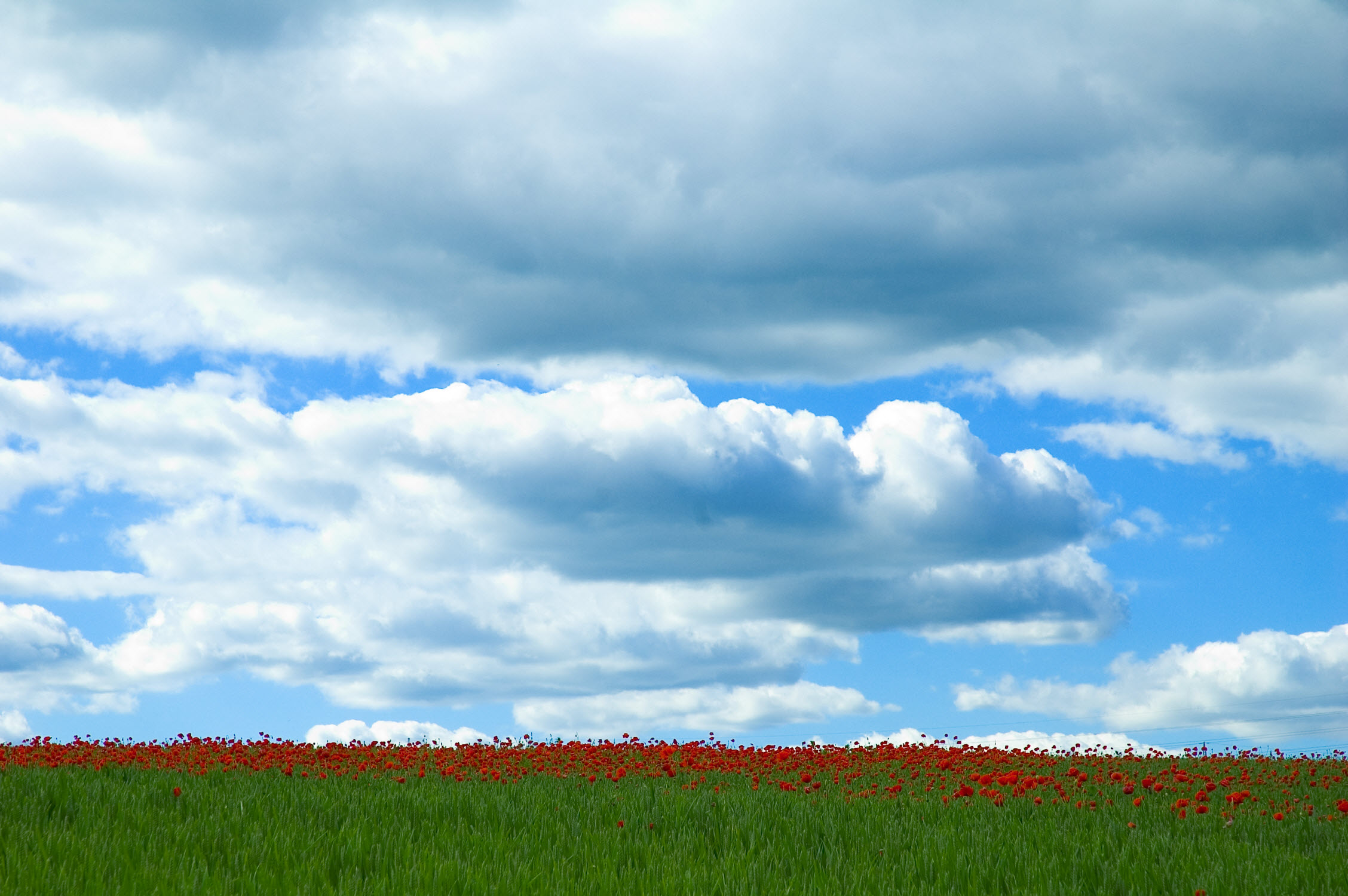 Clearing up the Cloudiness - LBi Software Blog Clearing up the Cloudiness - LBi Software Blog